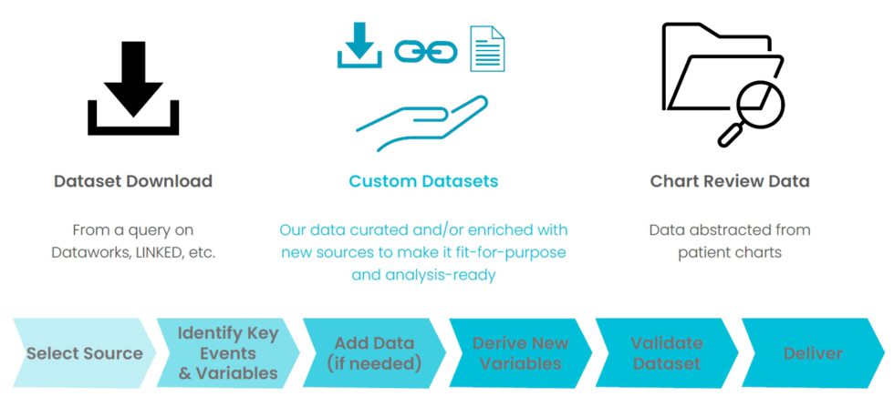 Datasets - Build and license from global RWD